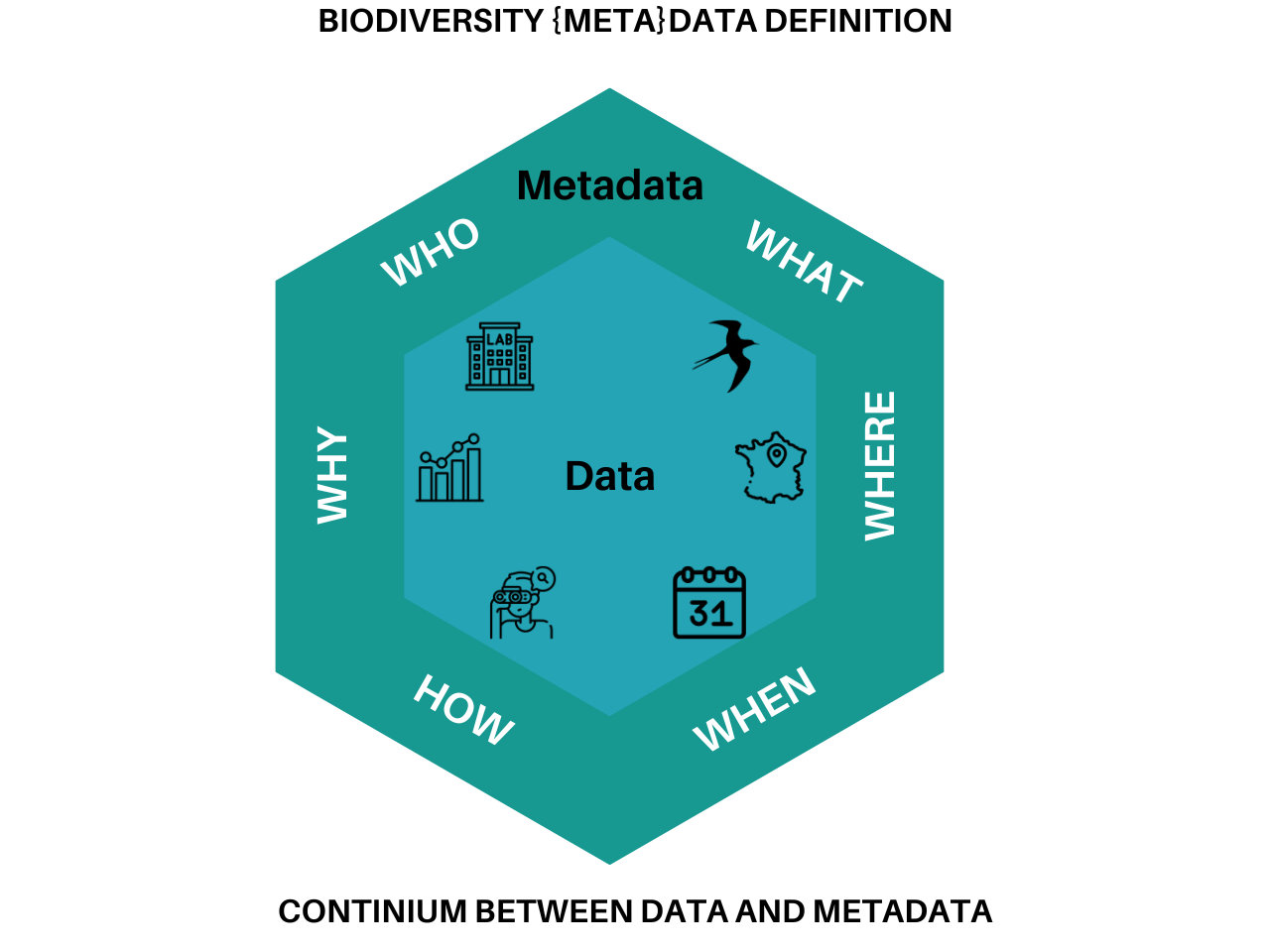Protocols vs. methods Protocols vs. methods